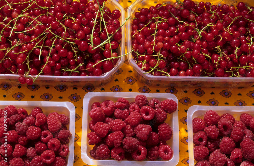 FRAMBOISES ET GROSEILLES Stock Photo | Adobe Stock