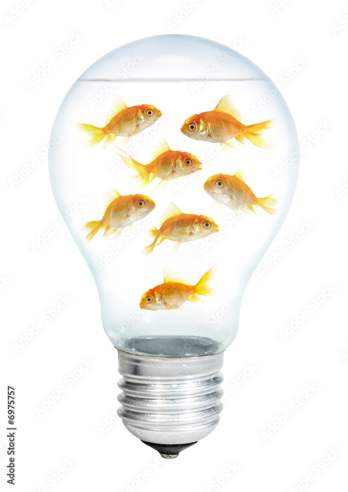 Gold small fish in light bulb Stock Photo | Adobe Stock