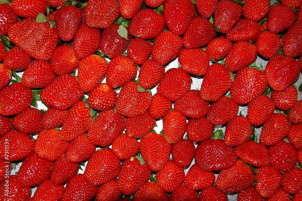 Les fraises Stock Photo | Adobe Stock