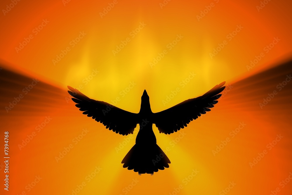 phoenix rising Stock Illustration | Adobe Stock
