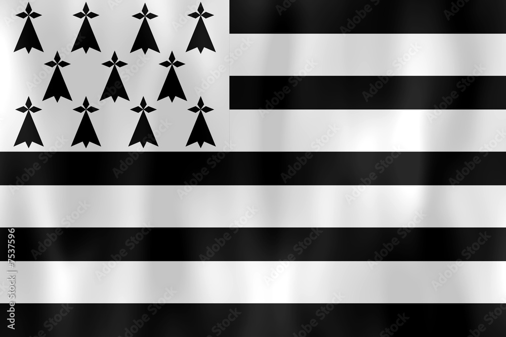 drapeau bretagne breizh britain flag Stock Illustration | Adobe Stock