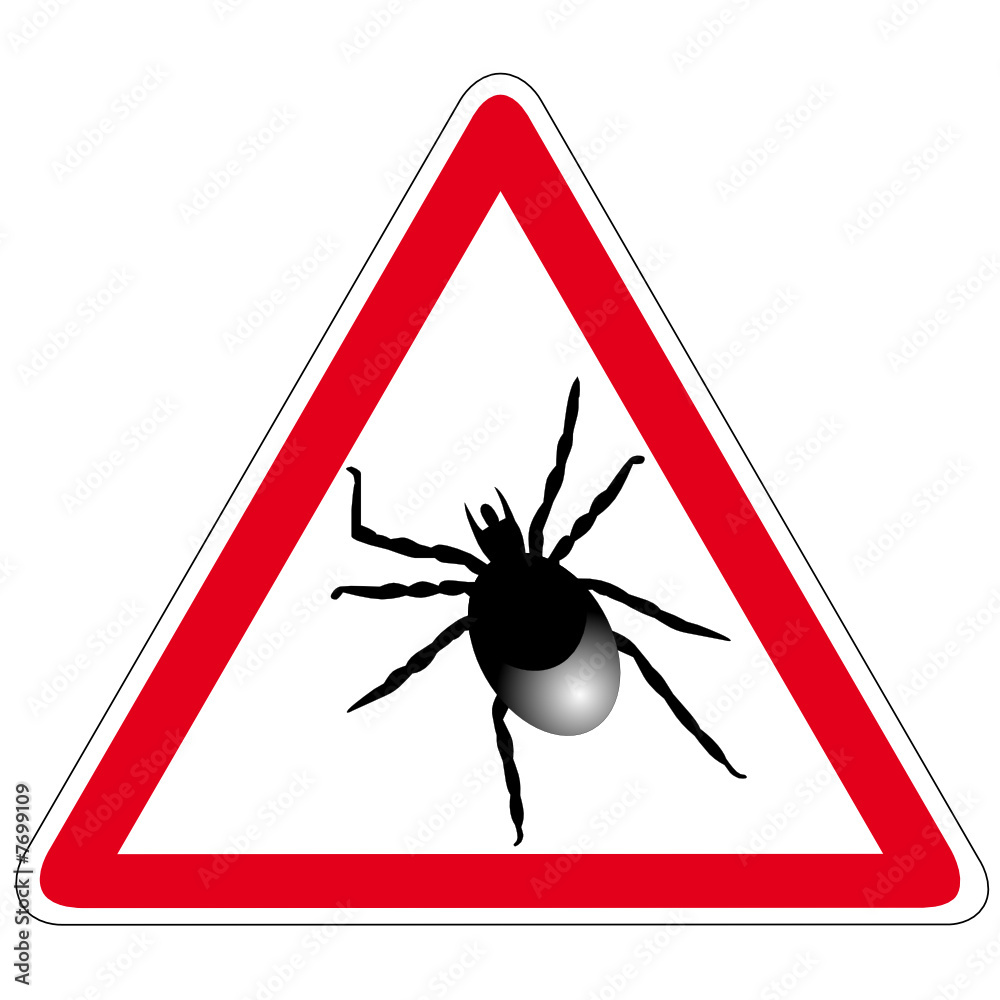 Insekte - Schild Stock Vector | Adobe Stock