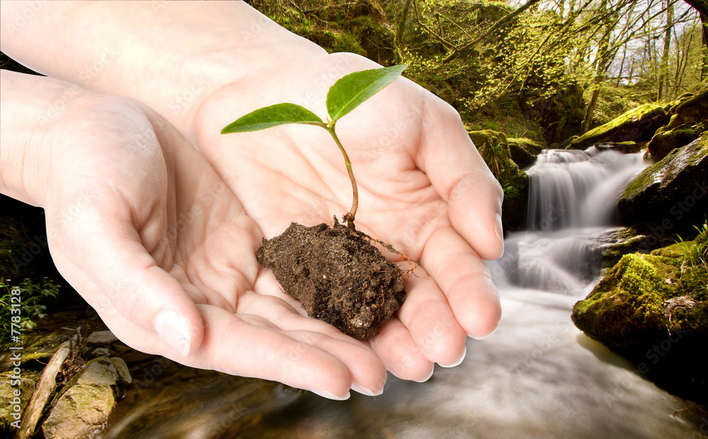 préserver protéger nature environnement déforestation écologie p Stock ...