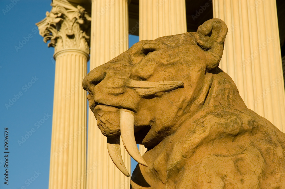 Sabertooth tiger statue. Stock Photo | Adobe Stock