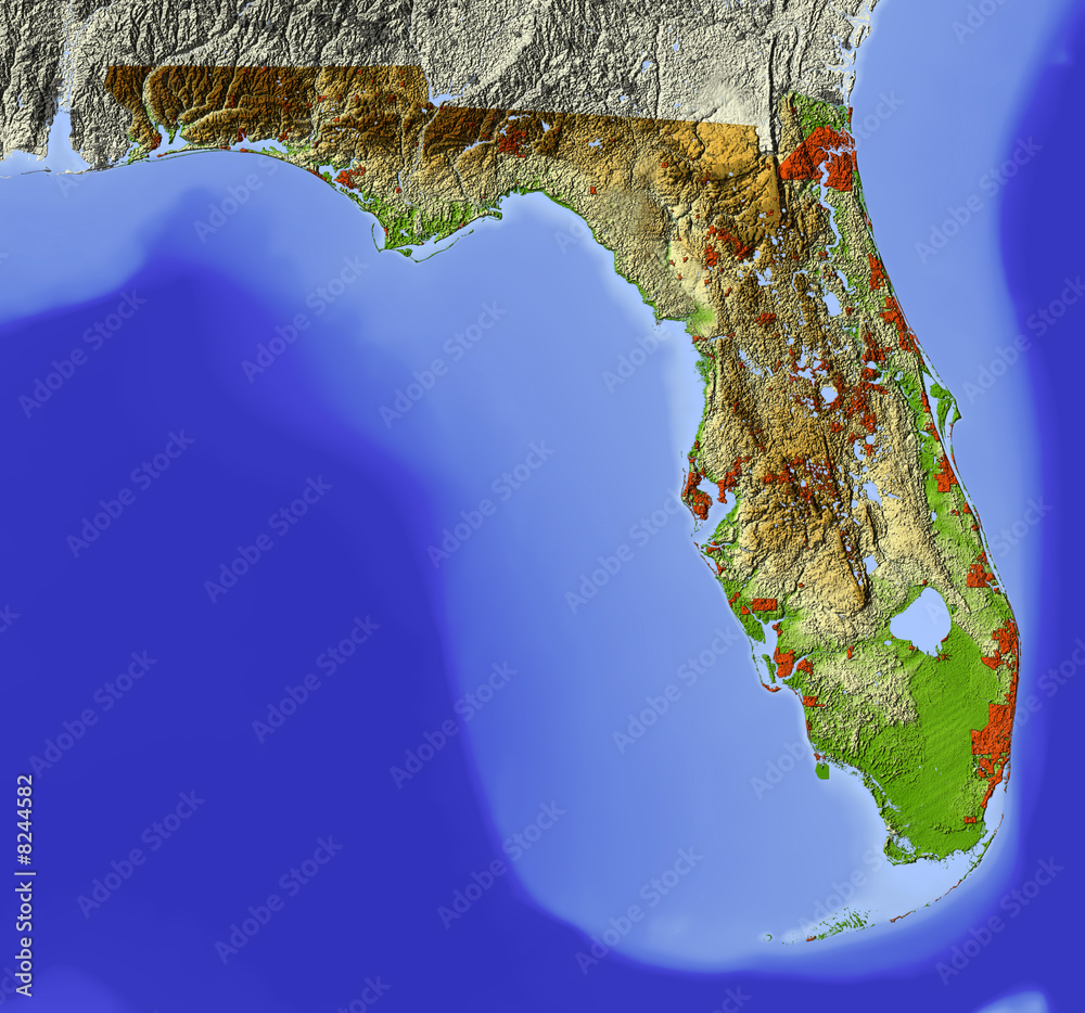 Shaded Relief Map of Florida Stock Illustration | Adobe Stock