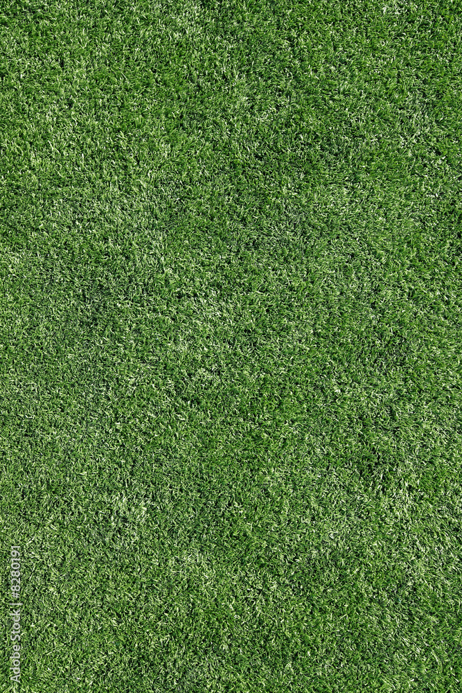 grass Stock Photo | Adobe Stock