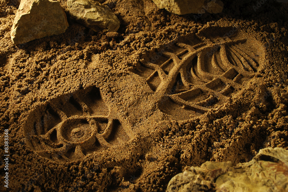 Footprint of an adventure boot Stock Photo | Adobe Stock