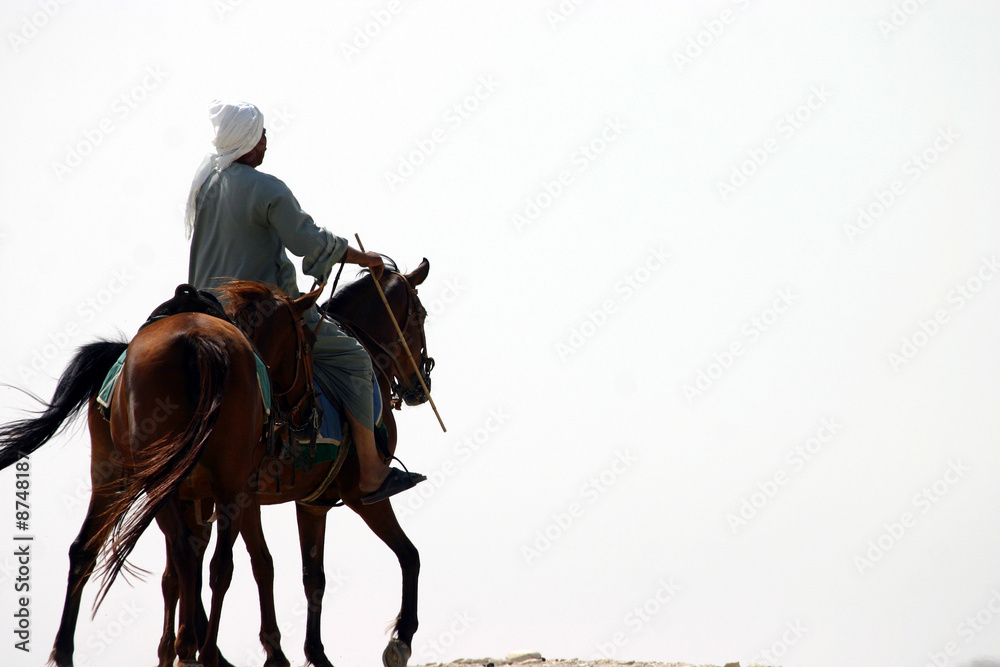 Arab Riding Horse Stock Photo | Adobe Stock