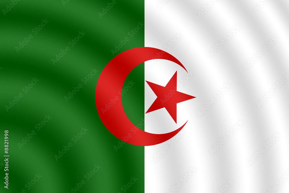 Drapeau Algérie Stock Illustration | Adobe Stock