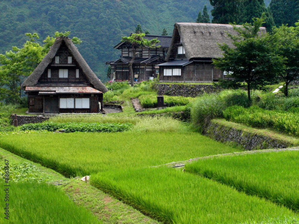 rural japan Stock Photo | Adobe Stock