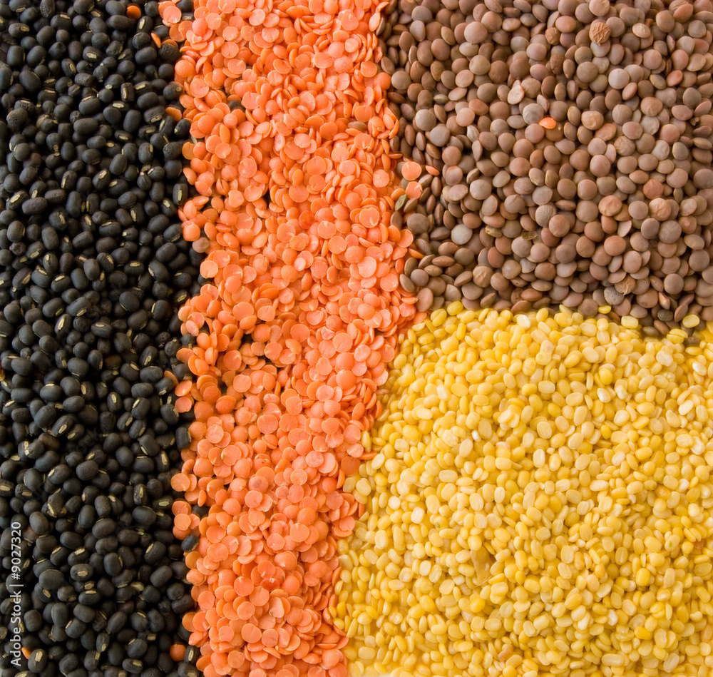 Collage of the four essential lentils used in Indian cooking Stock ...