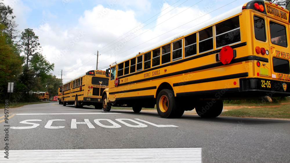 School buses lined up at school crosswalk Stock Photo | Adobe Stock