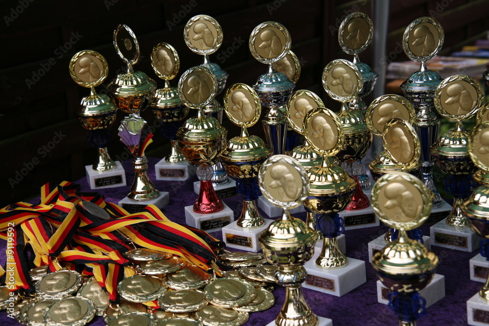 Pokale Stock-Foto | Adobe Stock