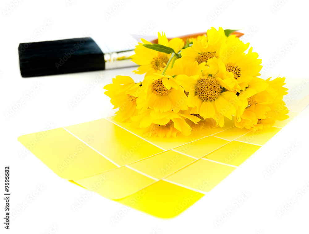 Yellow paint sample swatches and wild yellow sunflowers Stock Photo ...