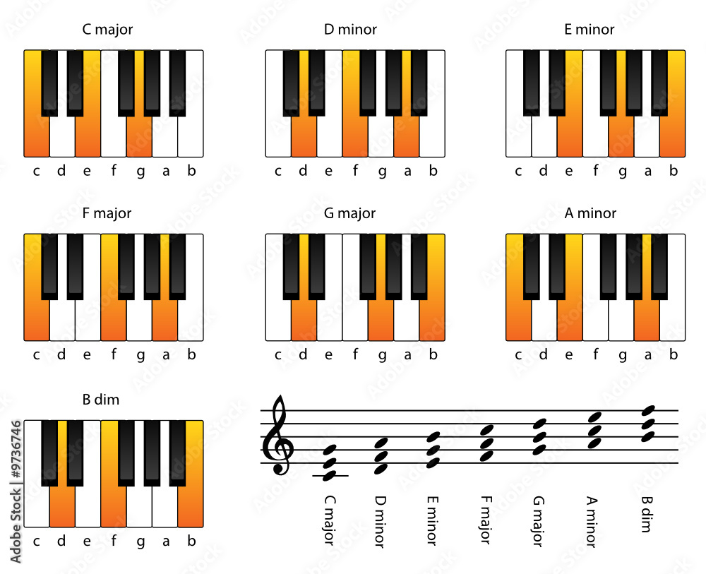 Chords on the White Keys Stock Vector | Adobe Stock