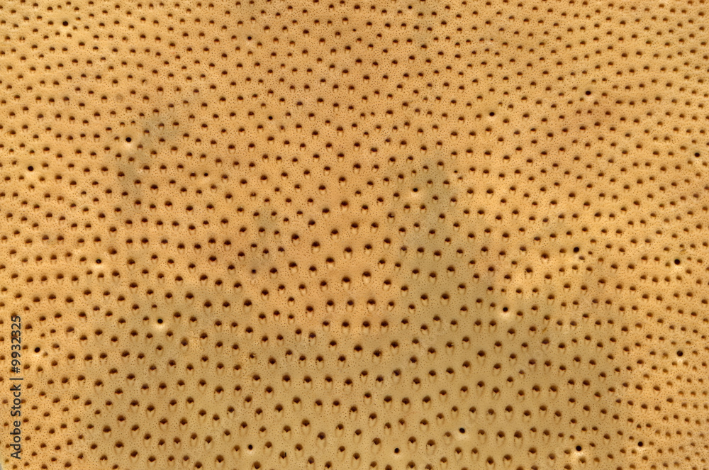 Cow Tongue Texture
