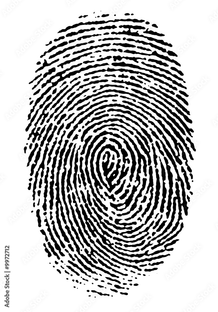 Impronta digitale Stock Illustration | Adobe Stock