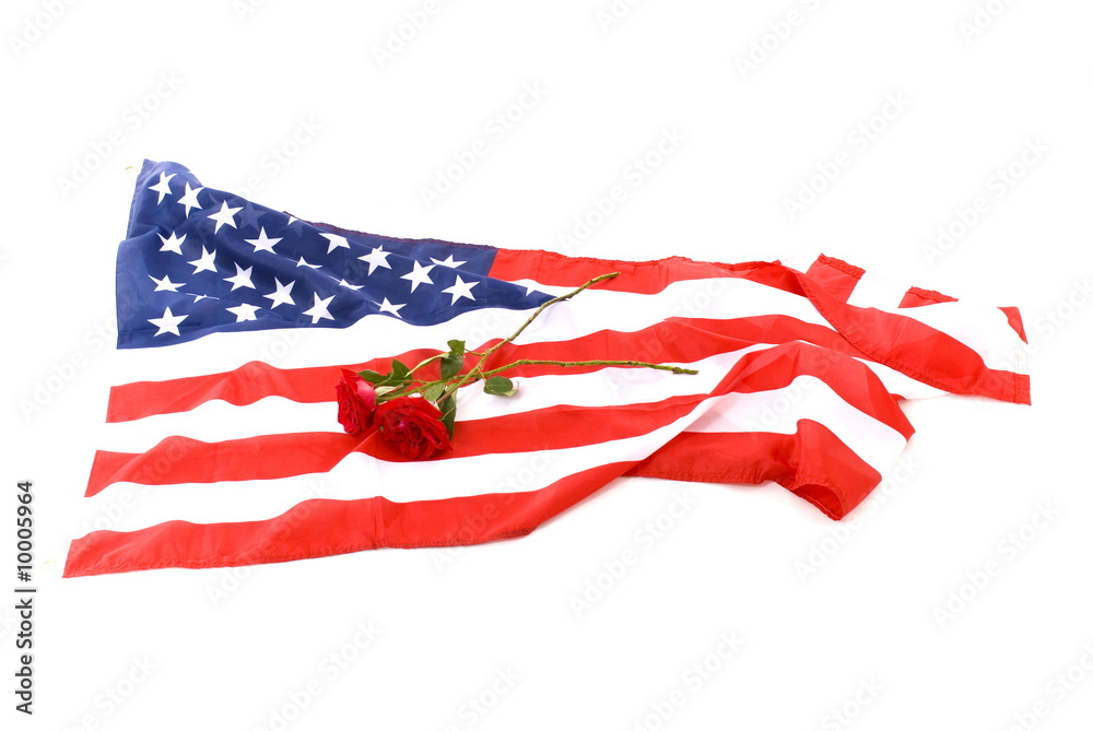 Poster Two crossed red roses in the flag of United States. – Wall Art ...