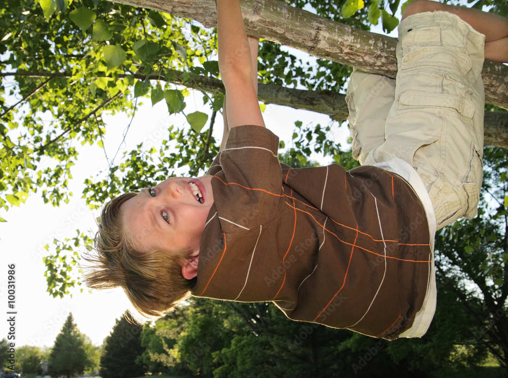 scared child dangling from a tree branch Stock Photo | Adobe Stock