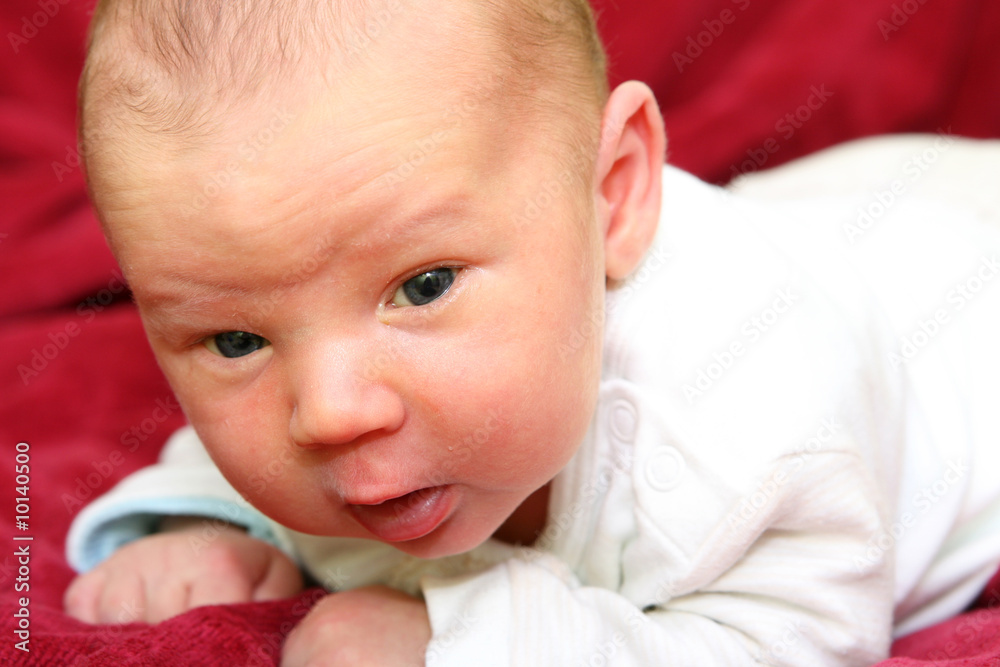 newborn baby first time lifting his head Stock Photo | Adobe Stock