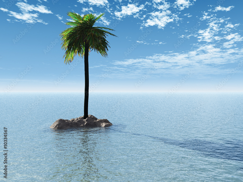 Insel mit Palme Stock-Illustration | Adobe Stock