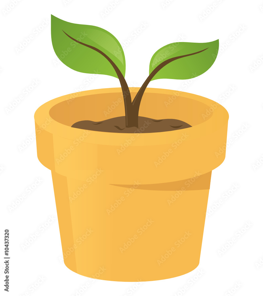 Pflanze Stock Vector | Adobe Stock