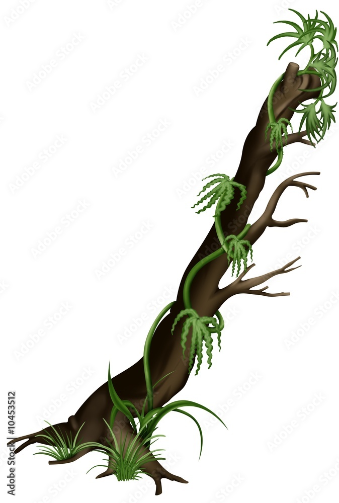 Tree A04 - isolated hand drawn tree with creepers plants Stock ...