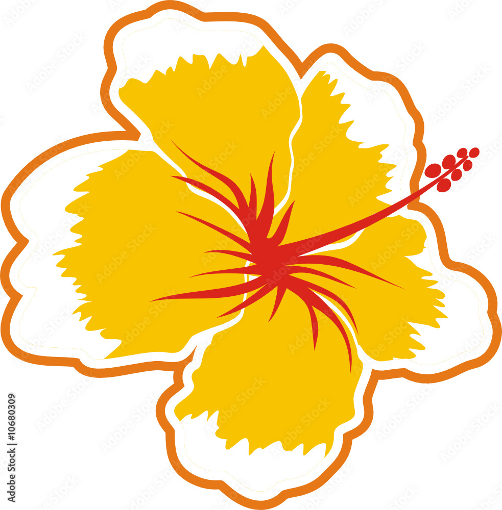 flor tropical vector de Stock | Adobe Stock
