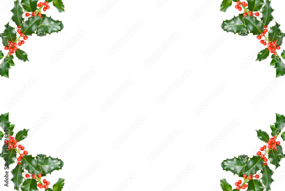 Holly Border Stock Photo | Adobe Stock