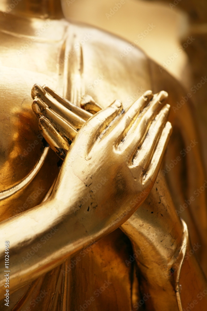 Hands Stock Photo | Adobe Stock