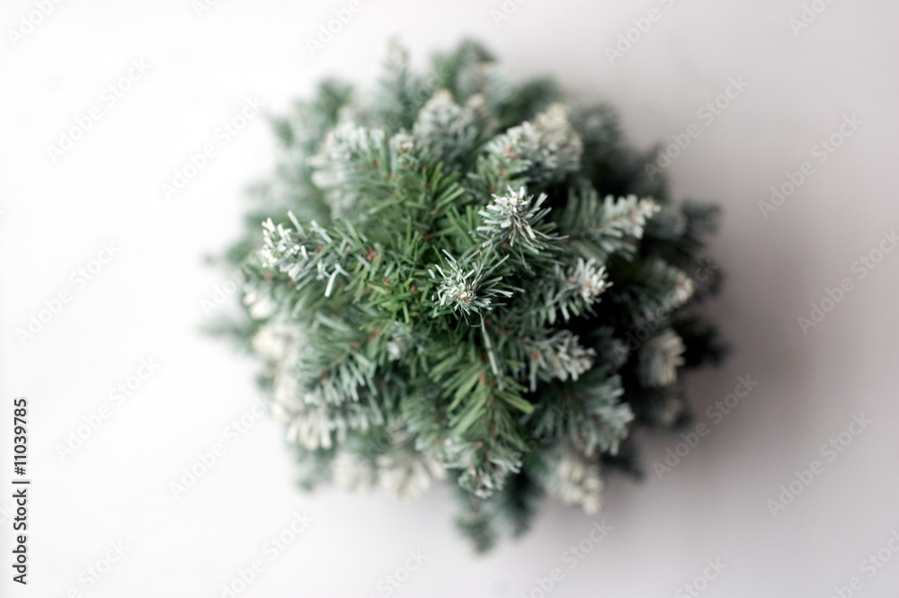 Christmas tree, top view Stock Photo | Adobe Stock