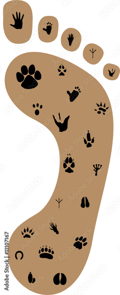 Footsteps Stock Vector | Adobe Stock