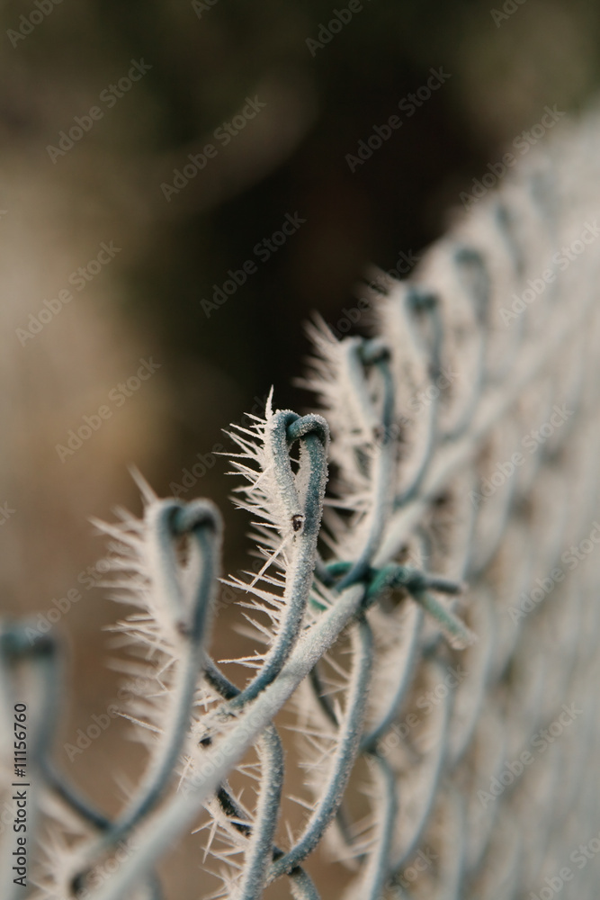grillage gelé Stock Photo | Adobe Stock