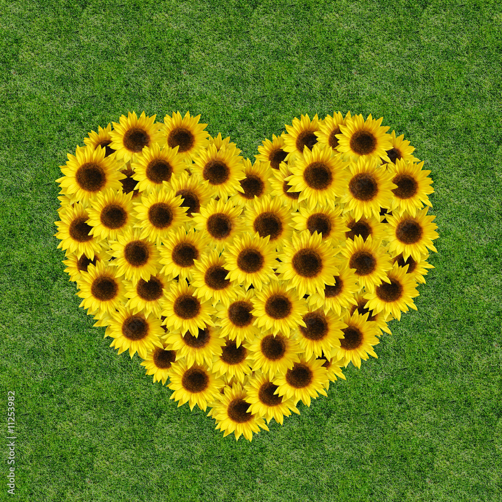 Sunflower Heart Stock Photo | Adobe Stock