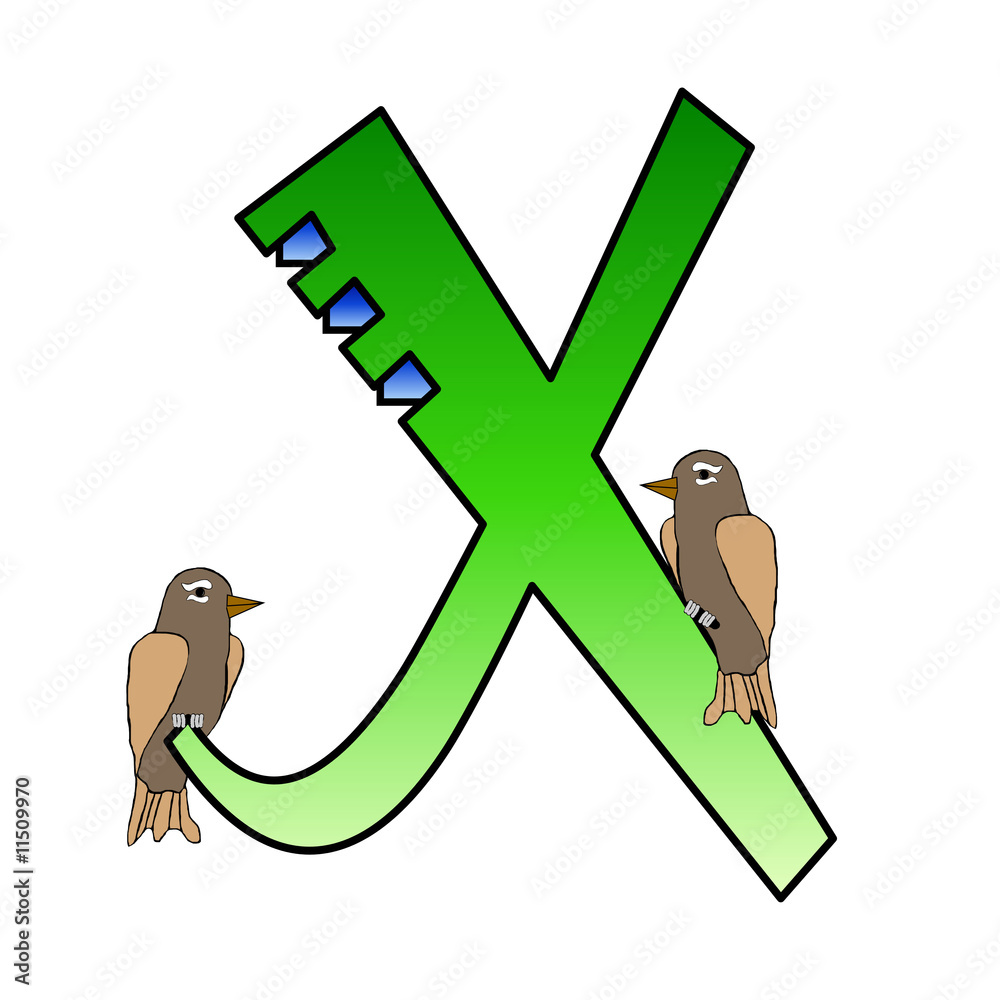 Xenops Clipart