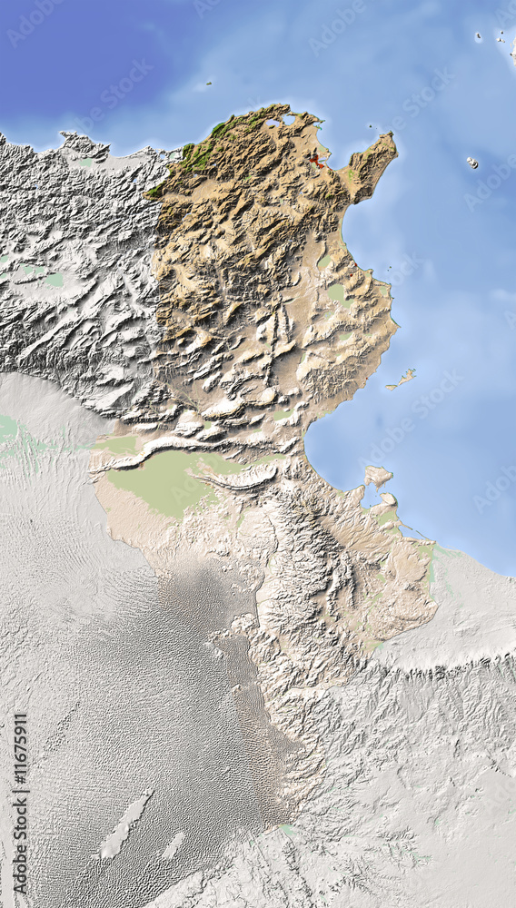Tunisia, shaded relief map, colored for vegetation. Stock Illustration | Adobe Stock
