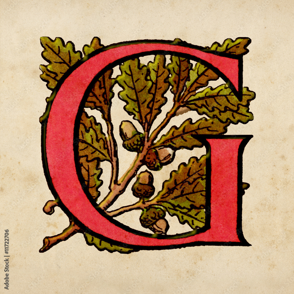 Illustrazione Stock CAPOLETTERA G DECORATO CON FOGLIE DI QUERCIA ...