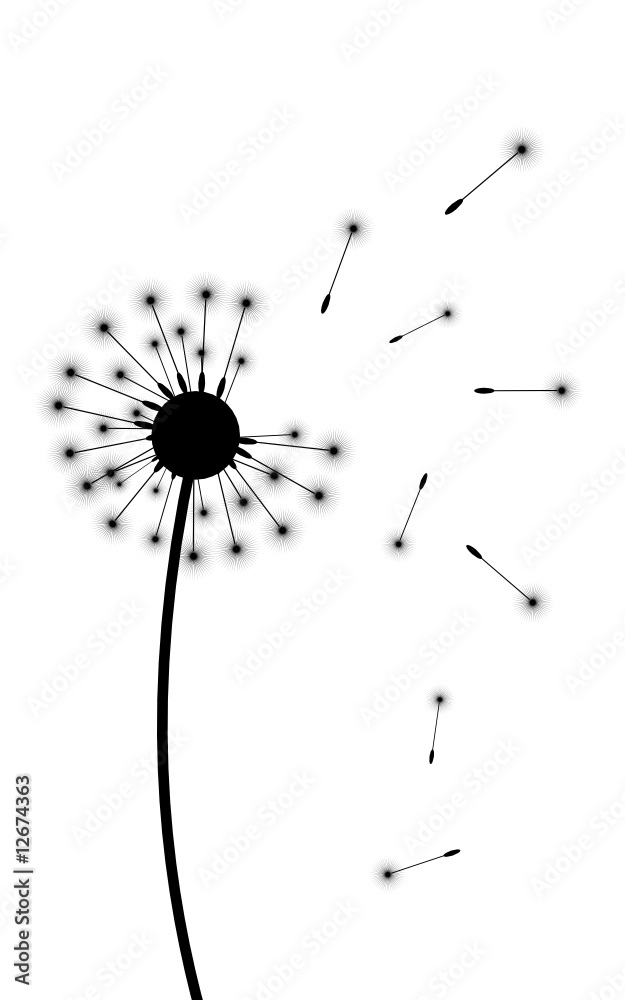 Pusteblume1 Stock-Vektorgrafik | Adobe Stock