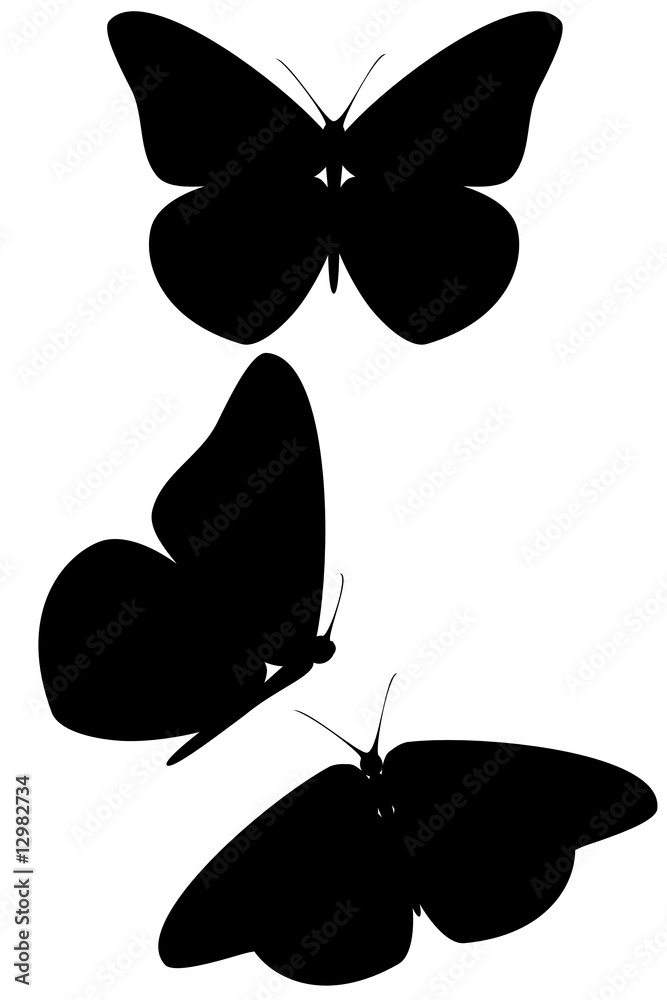A Black Butterfly Silhouette Set Stock Vector Adobe Stock