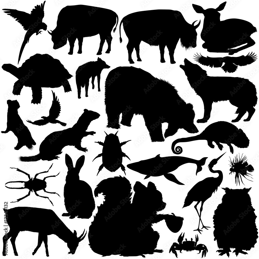 Poster Wild Animals Silhouettes – Wall Art | UkPosters