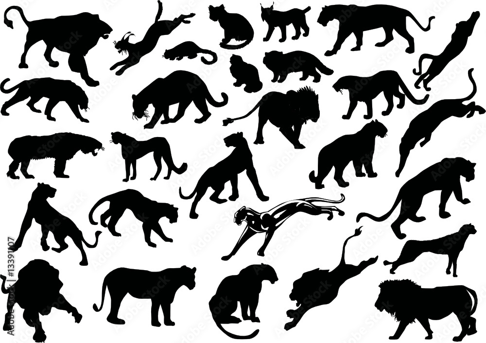 twenty eight big cat silhouettes Stock Vector | Adobe Stock
