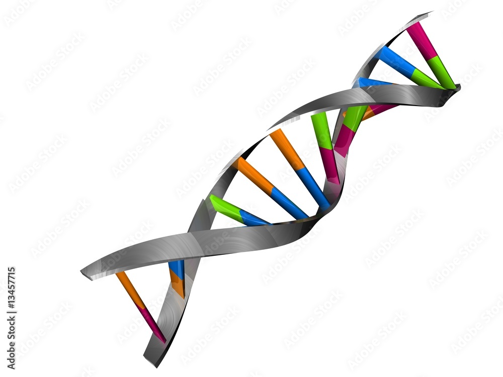 dna strang Stock-Illustration | Adobe Stock