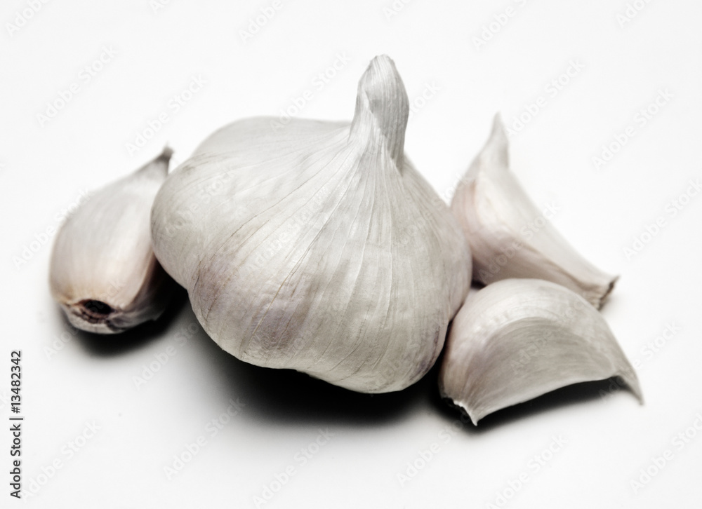 knoblauch Stock Photo | Adobe Stock