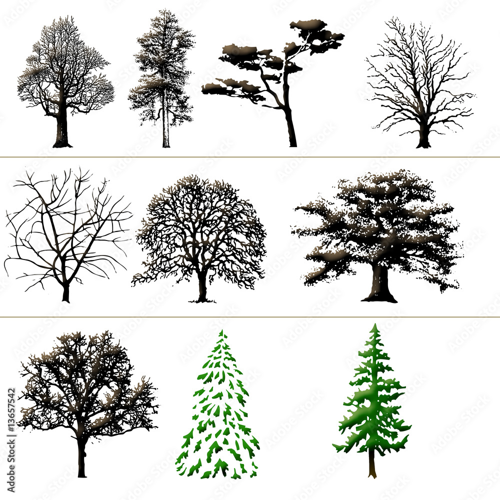 Trees shape package Stock Illustration | Adobe Stock