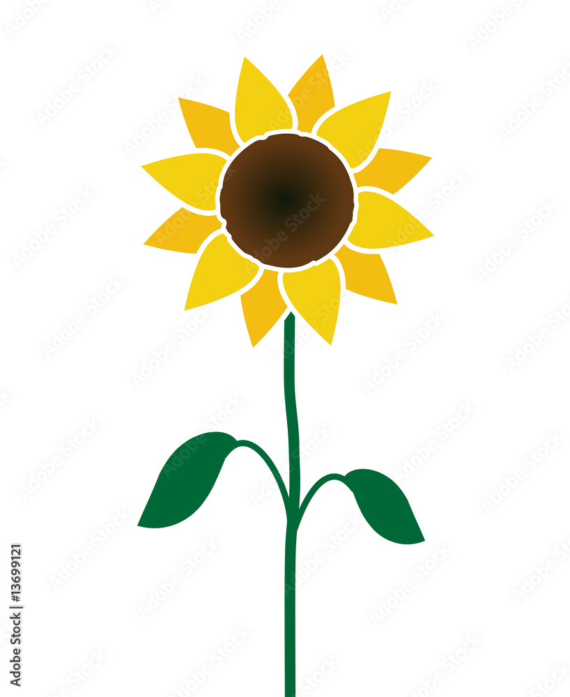 sonnenblume Stock-Vektorgrafik | Adobe Stock