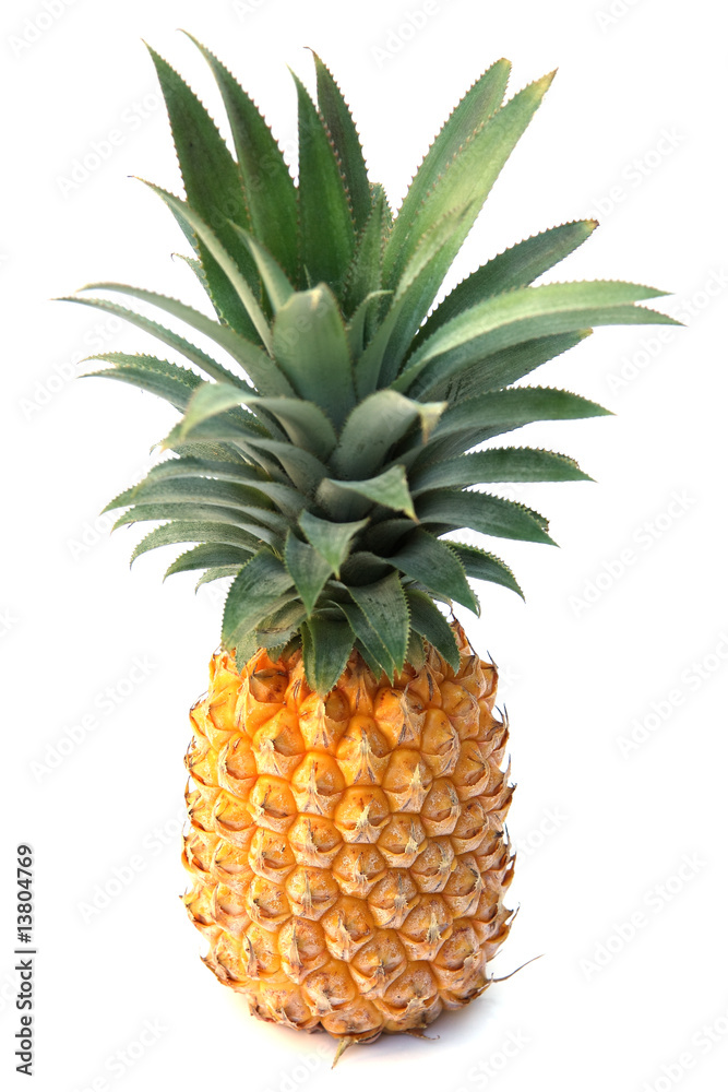 ananas "Victoria" de l'île de la Réunion Stock Photo | Adobe Stock