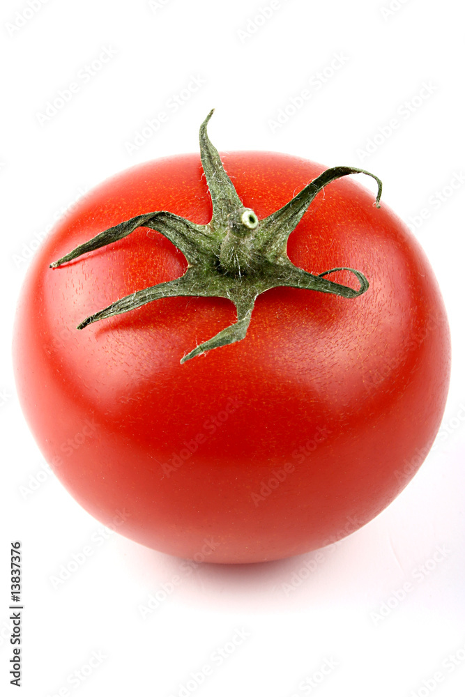 Tomate Hochformat Stock-Foto | Adobe Stock