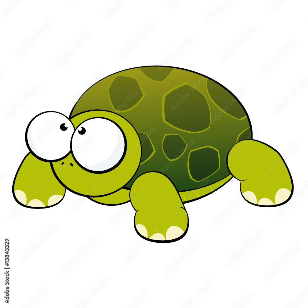 schildkröte cartoon lustig Stock-Vektorgrafik | Adobe Stock