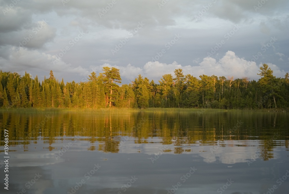 Canadian Forest With Lake
