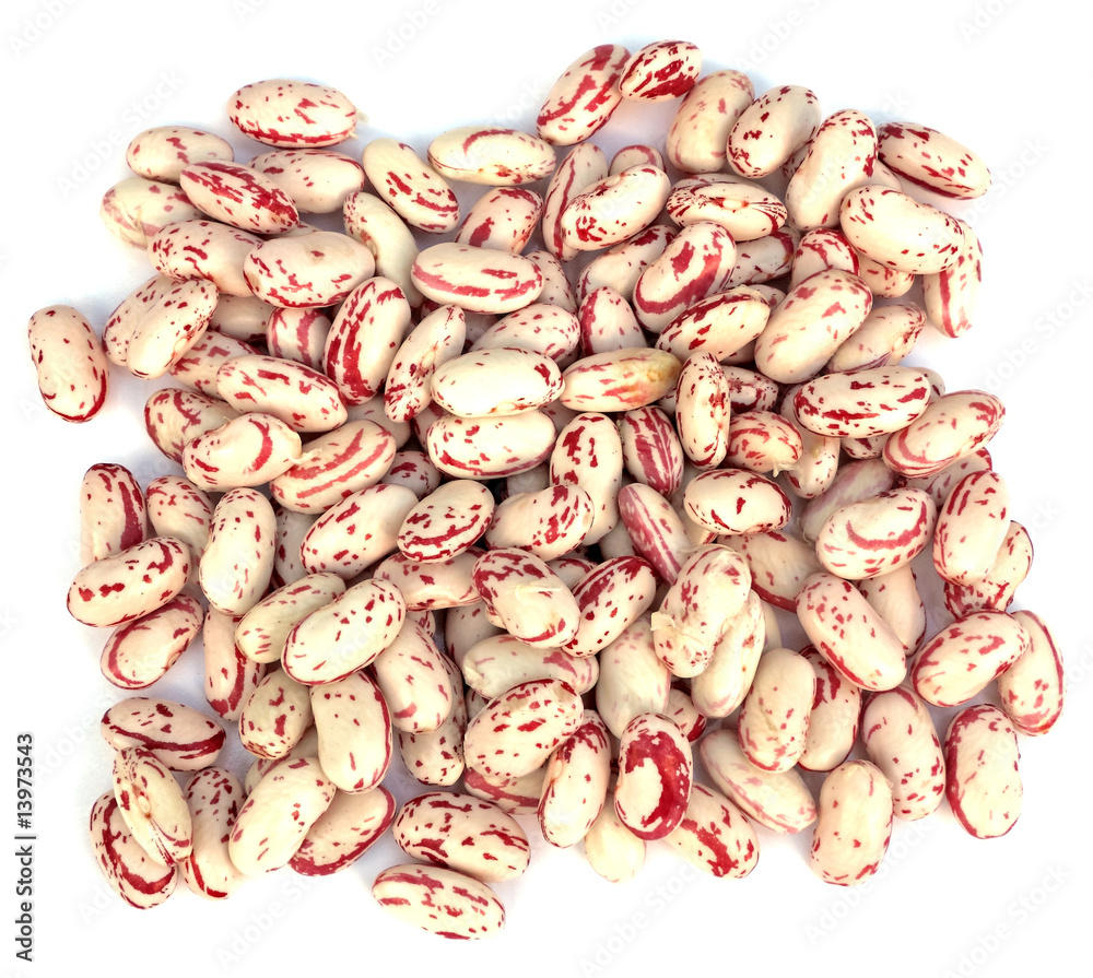 des haricots frais écossés Photos | Adobe Stock